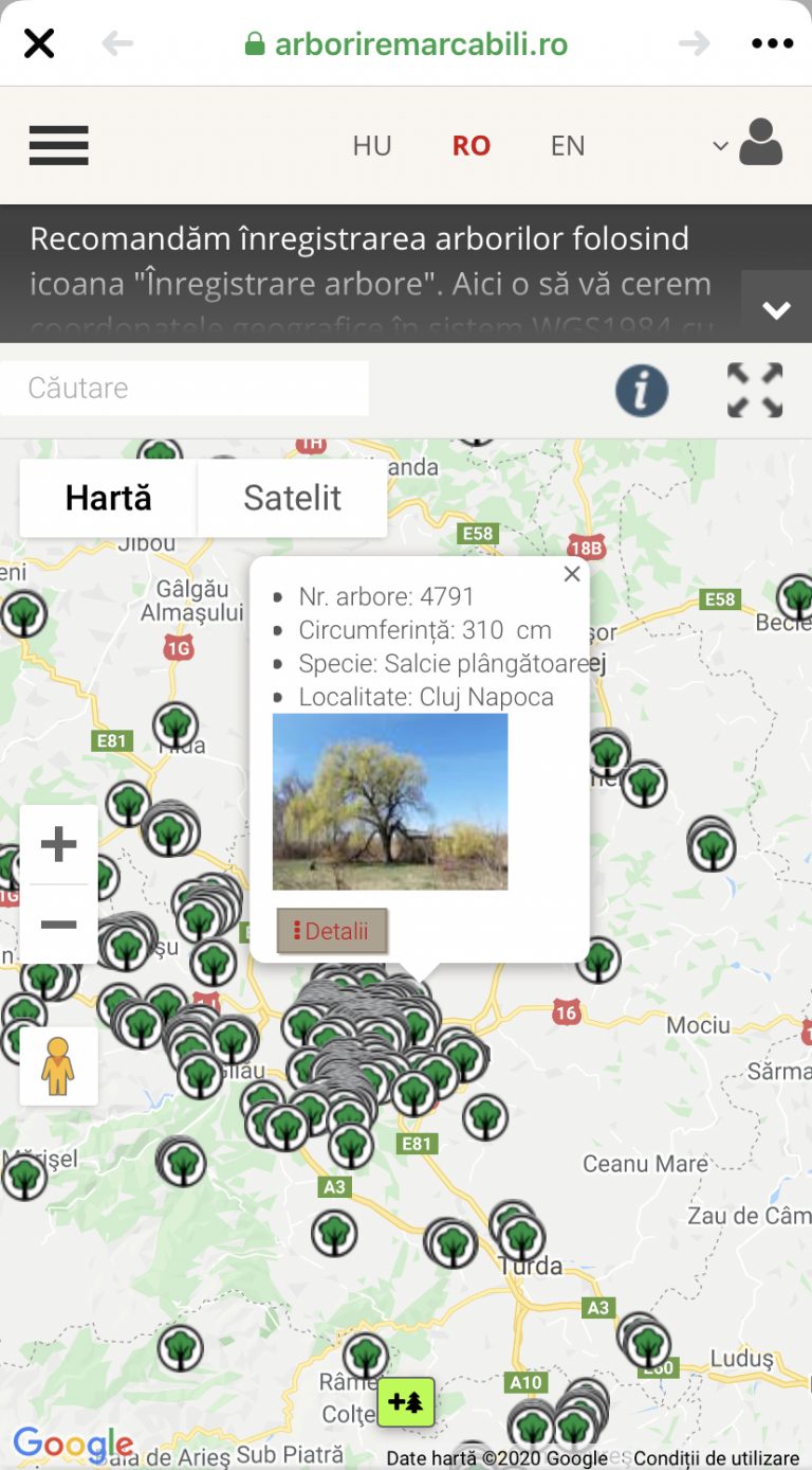 A apărut harta arborilor remarcabili din România. Sunt cartografiați ...