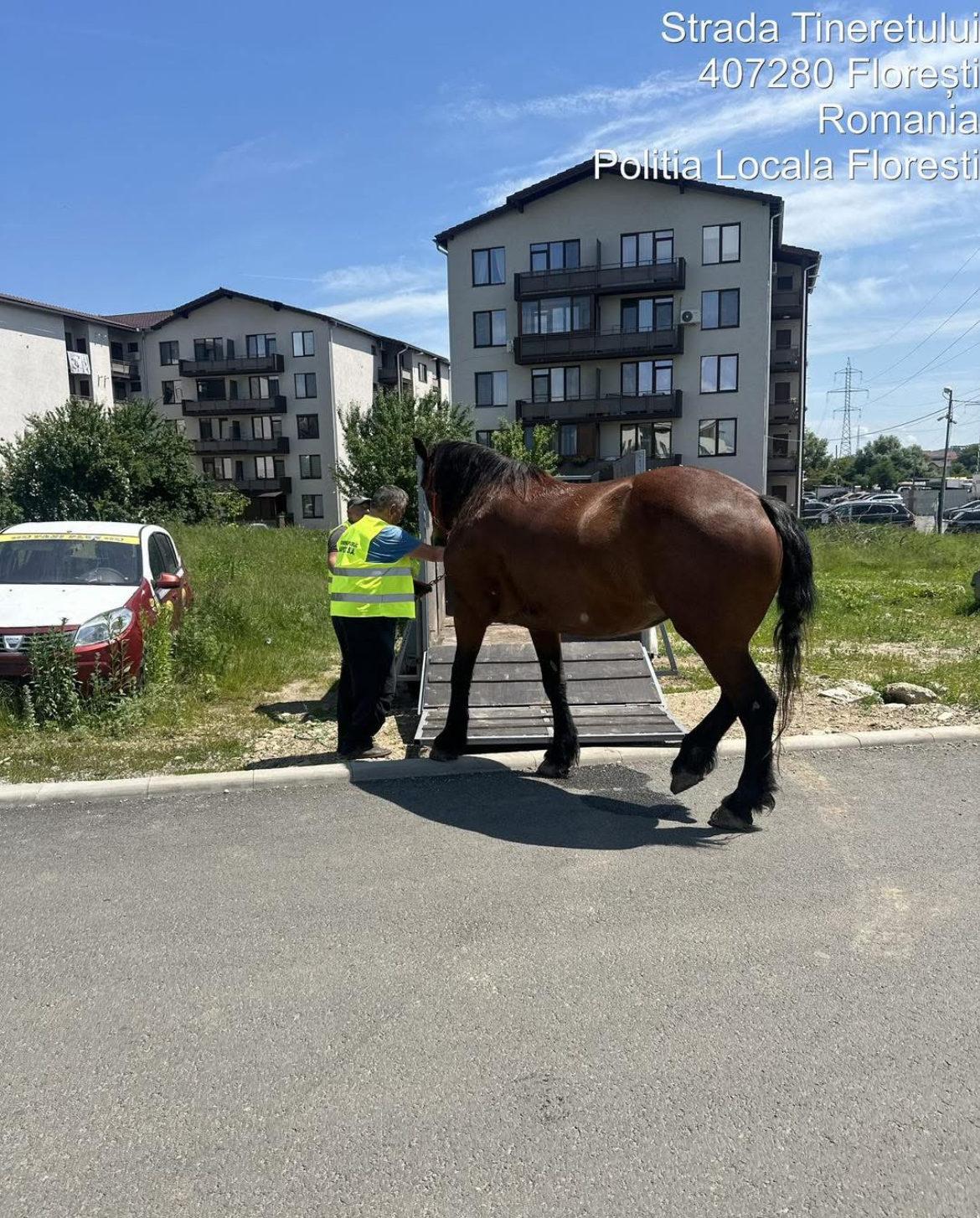 Primăria a ridicat doi cai dintre blocuri din Florești. Primarul Bogdan Pivariu: “Caii sunt un ...
